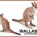 WALLABY 3D Papercraft / Animals Papercraft / Printable DIY Template Pdf ...