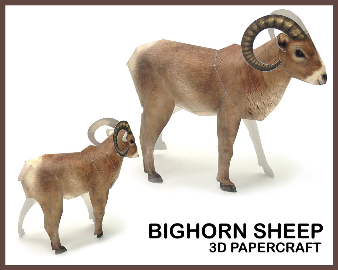 BIGHORN SHEEP 3D Papercraft / 3d Model / Papercraft Template / Paper ...