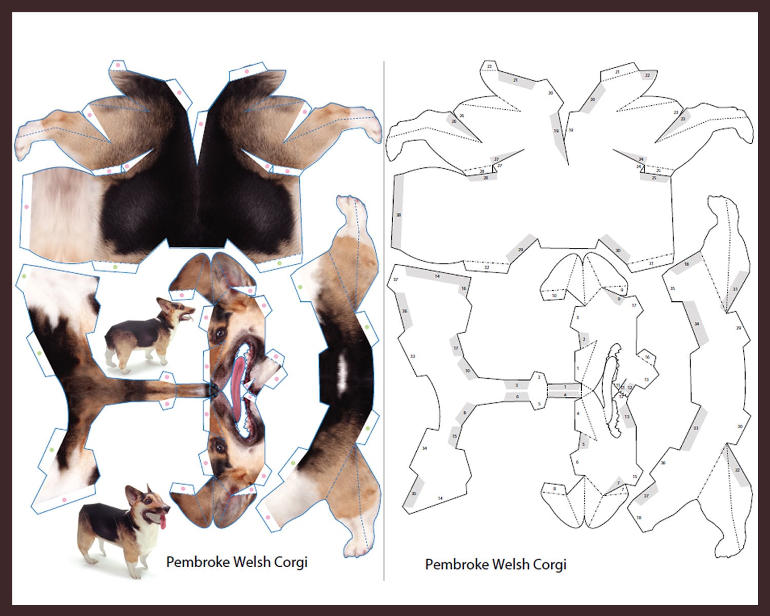 CORGI 3D Papercraft / Corgi Stickers / 3d Printed /3d Origami / Cute ...