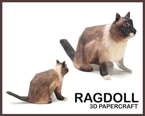 RAGDOLL 3D Papercraft / Ragdoll Cat Paper Craft / Kitten 3d | Etsy