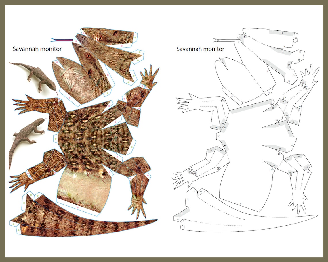 SAVANNAH MONITOR 3D Papercraft / Papercraft Animals / Papercraft Model ...