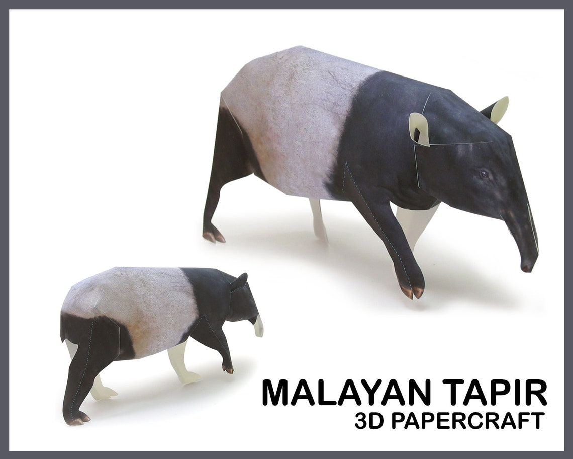 MALAYAN TAPIR 3D Papercraft / Paper Sculpture / DIY Decor / - Etsy