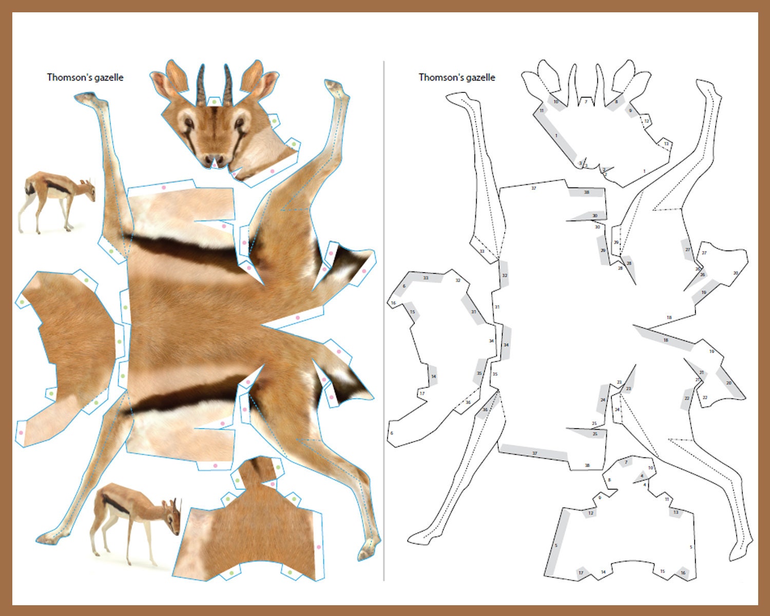 THOMSONS GAZELLE 3D Papercraft / 3d Origami / Origami Kit / 3d Model ...