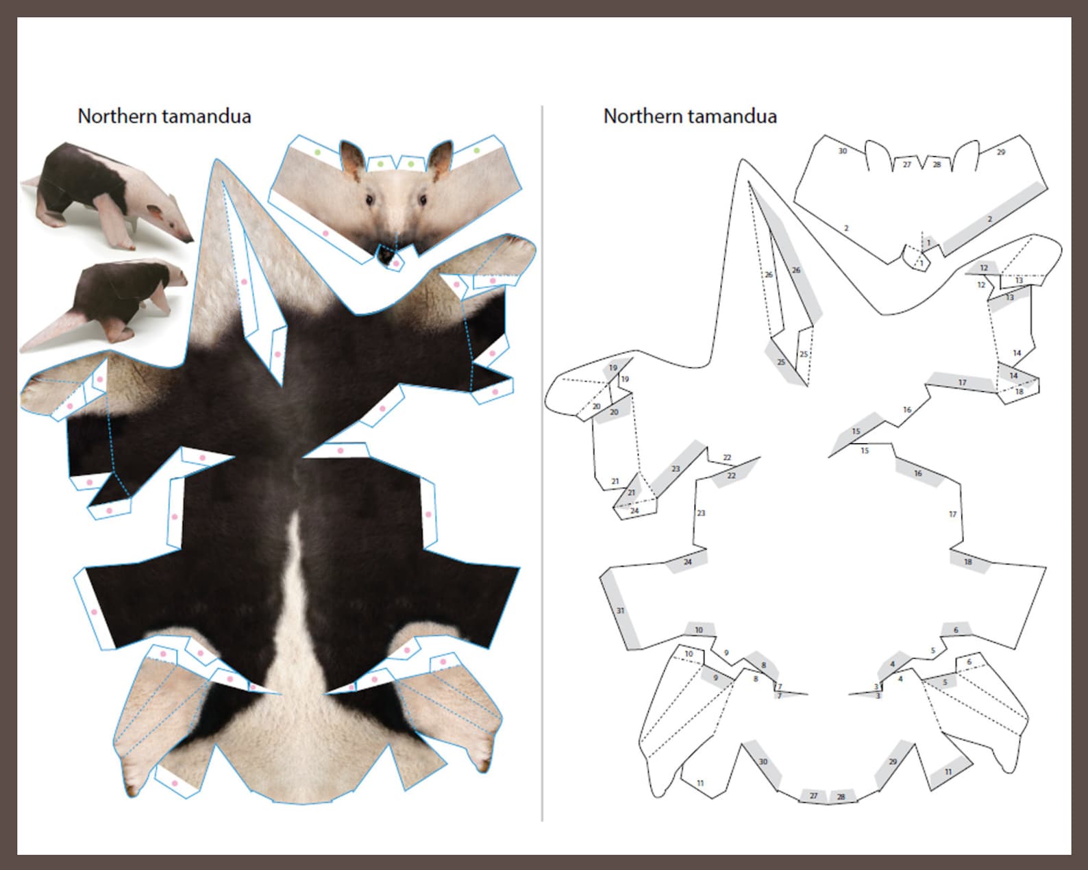 ANTEATER 3D Papercraft / 3D Paper Craft Template PDF / Printable Paper ...