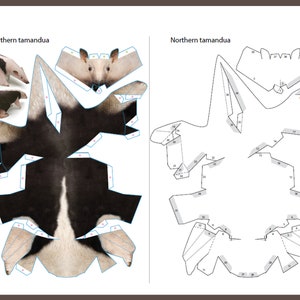 ANTEATER 3D Papercraft / 3D Paper Craft Template PDF / Printable Paper ...