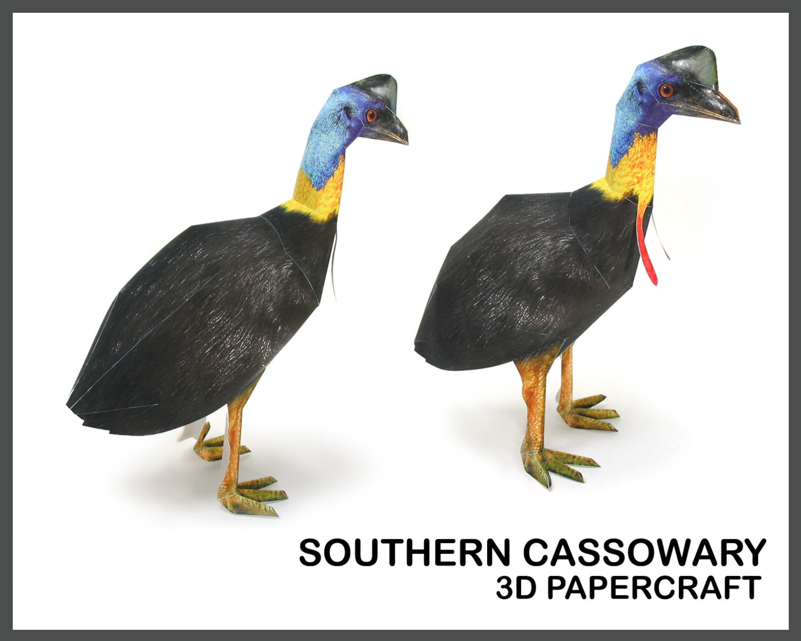 SOUTHERN CASSOWARY 3D Papercraft / Southern Cassowary DIY / 3D ...