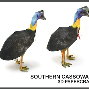 SOUTHERN CASSOWARY 3D Papercraft / Southern Cassowary DIY / 3D ...
