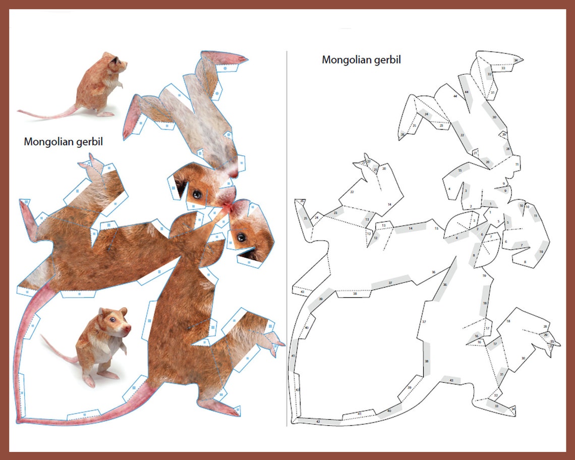 MONGOLIAN GERBIL 3D Papercraft / Animals Papercraft / Printable DIY ...