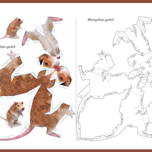 MONGOLIAN GERBIL 3D Papercraft / Animals Papercraft / Printable DIY ...
