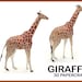 GIRAFFE 3D Papercraft / 3d Origami / Giraffe Print PDF / Papercraft ...