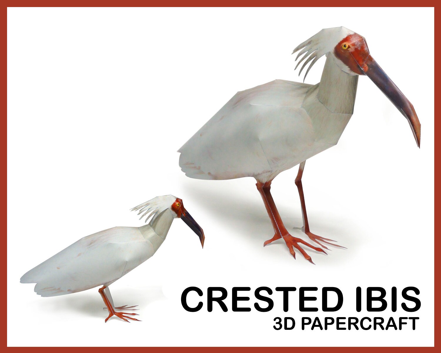 CRESTED IBIS 3D Papercraft / DIY Pdf Template / Papercraft Animals ...