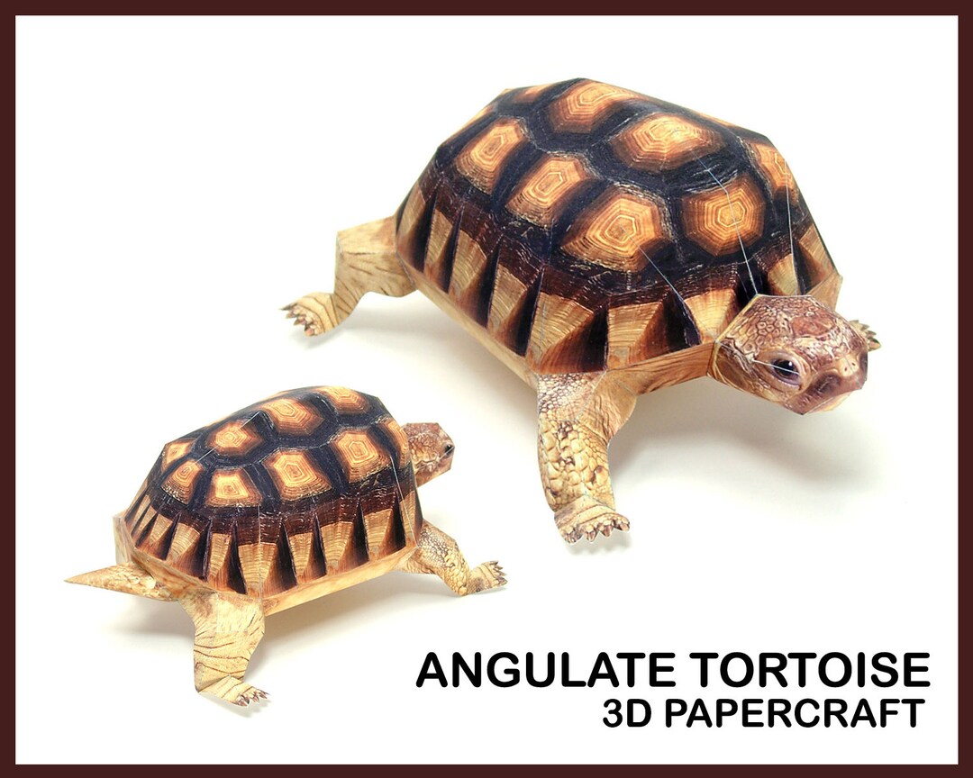 ANGULATE TORTOISE 3D Papercraft / 3d Origami / Paper Model / Animals 3d ...