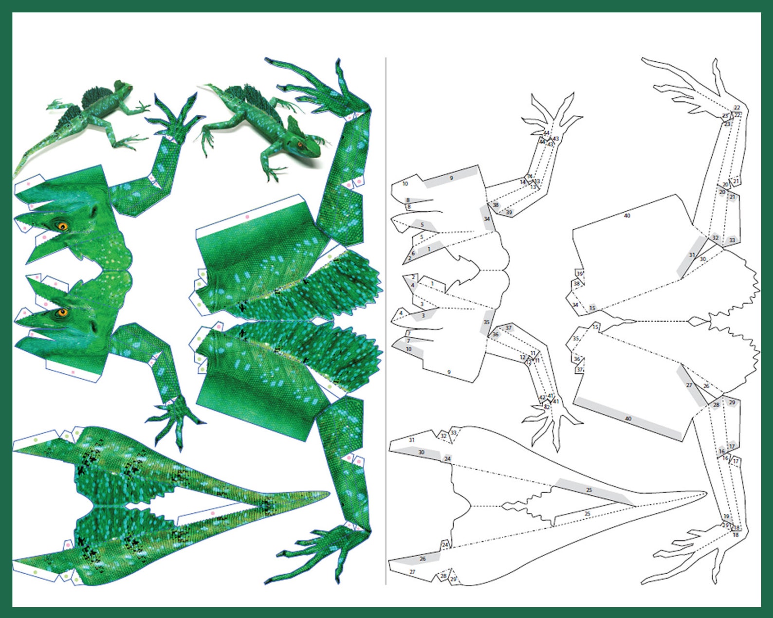 BASILISCUS 3D Papercraft / 3D PDF Template / Papercraft Animals / DIY ...