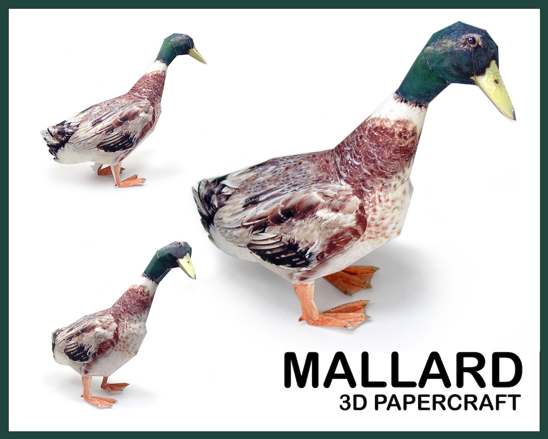 MALLARD 3D Papercraft / Animals Papercraft 3D / 3d Origami Wild Duck ...