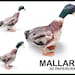 MALLARD 3D Papercraft / Animals Papercraft 3D / 3d Origami Wild Duck ...