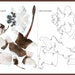 COTTON-TOP TAMARIN 3D Papercraft / 3d Origami / Papercraft Template ...