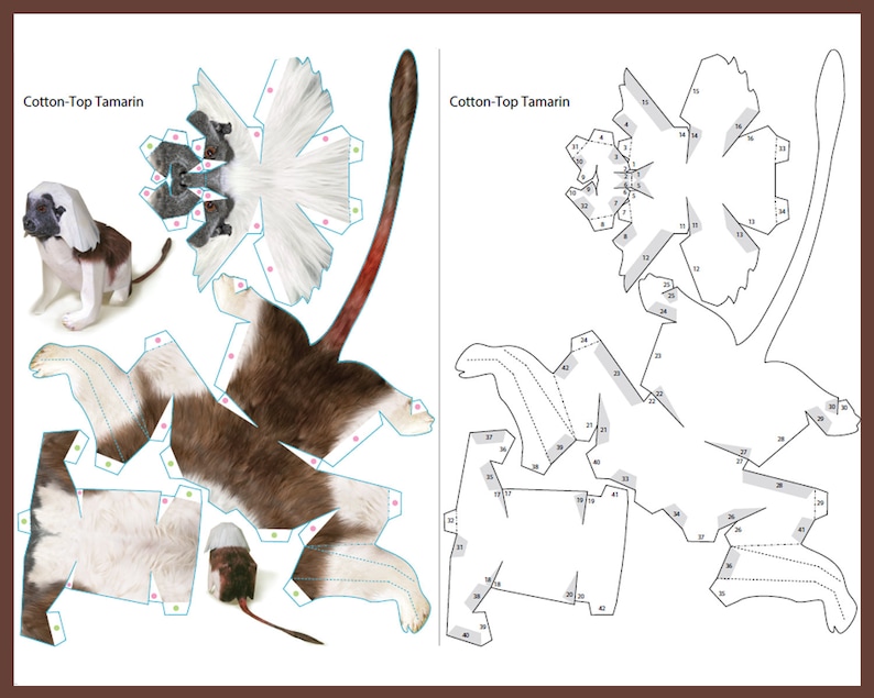 COTTON-TOP TAMARIN 3D Papercraft / 3d Origami / Papercraft - Etsy Canada