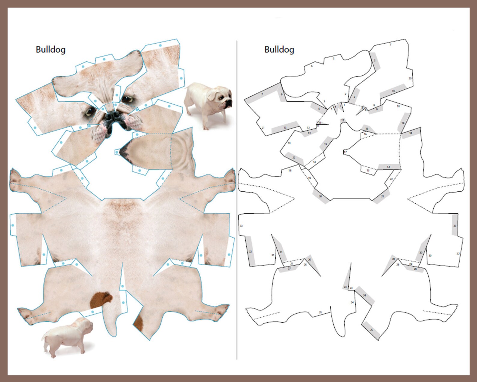 BULLDOG 3D Papercraft / Bulldog Statue Diy / Papercraft | Etsy