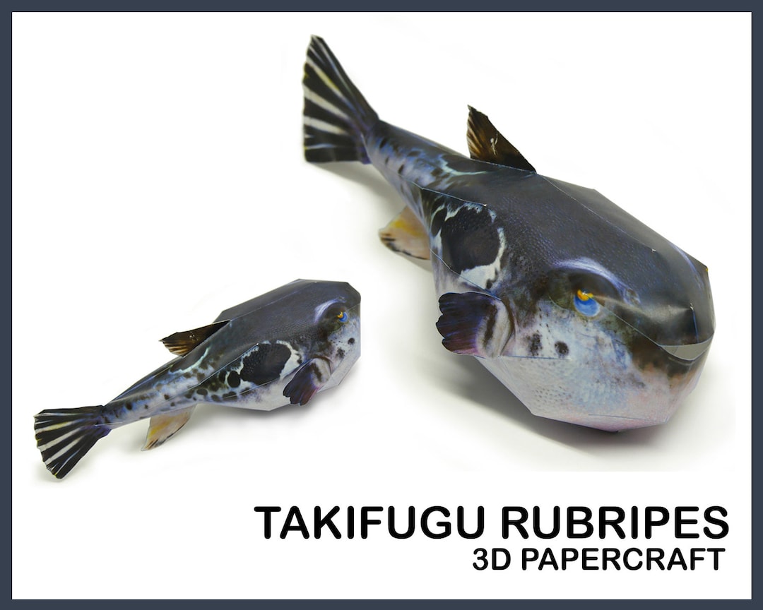 TAKIFUGU RUBRIPES 3D Papercraft / 3d Origami Fish / Papercraft Animals ...