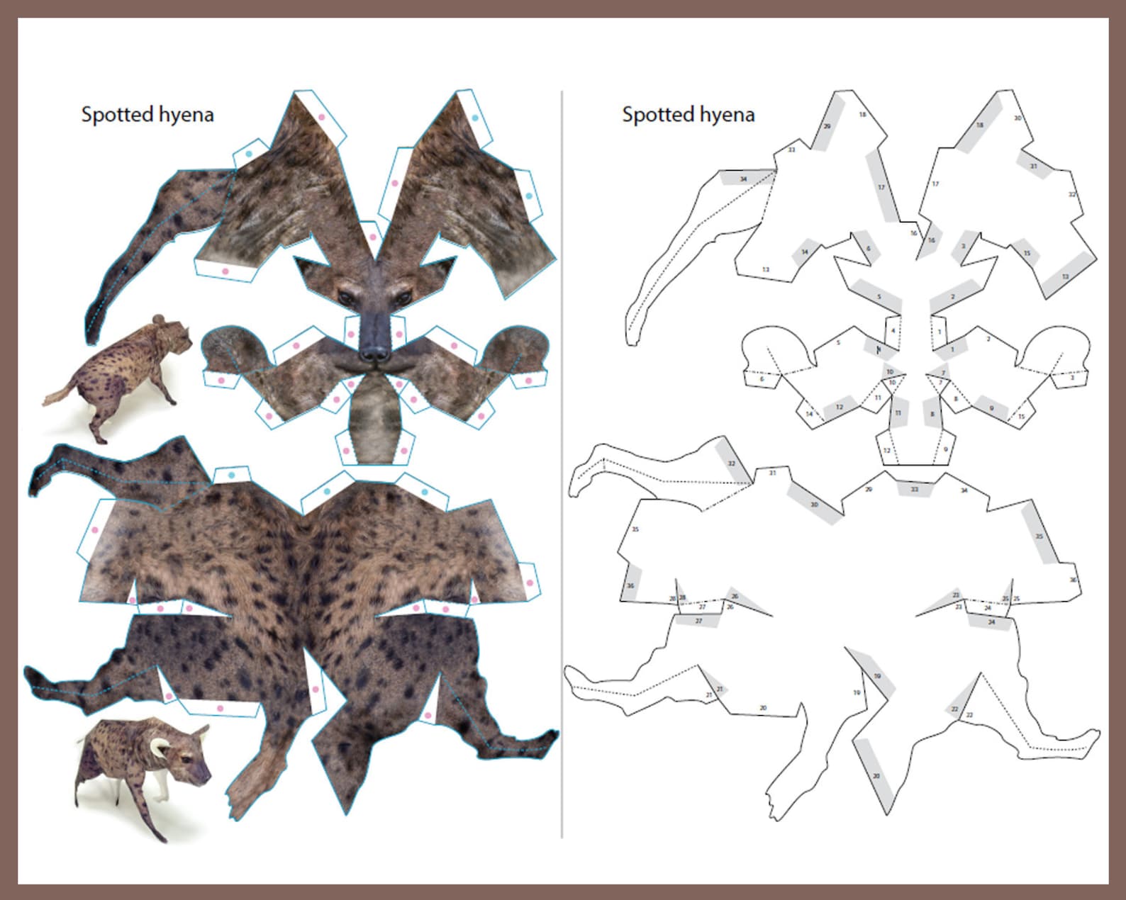 HYENA 3D Papercraft / Hyena Paper Craft Template / DIY - Etsy Finland