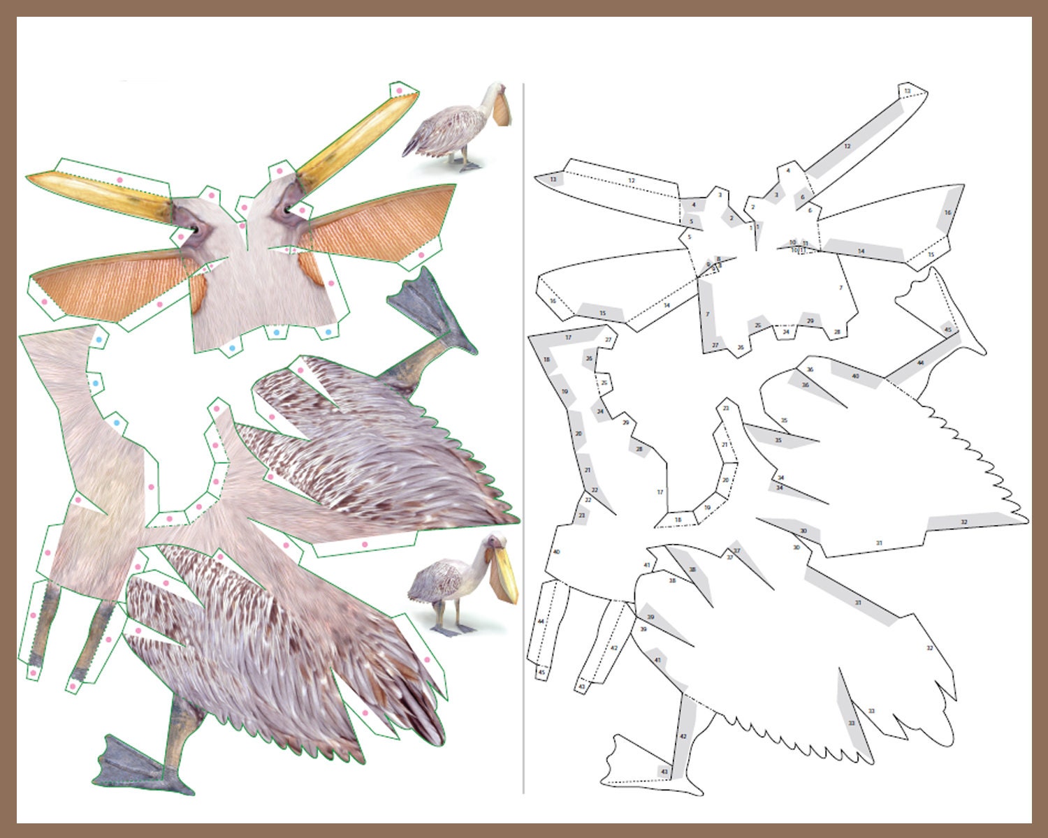 PELICAN 3D Papercraft / Pelican 3d Origami / Animal Papercraft / DIY ...