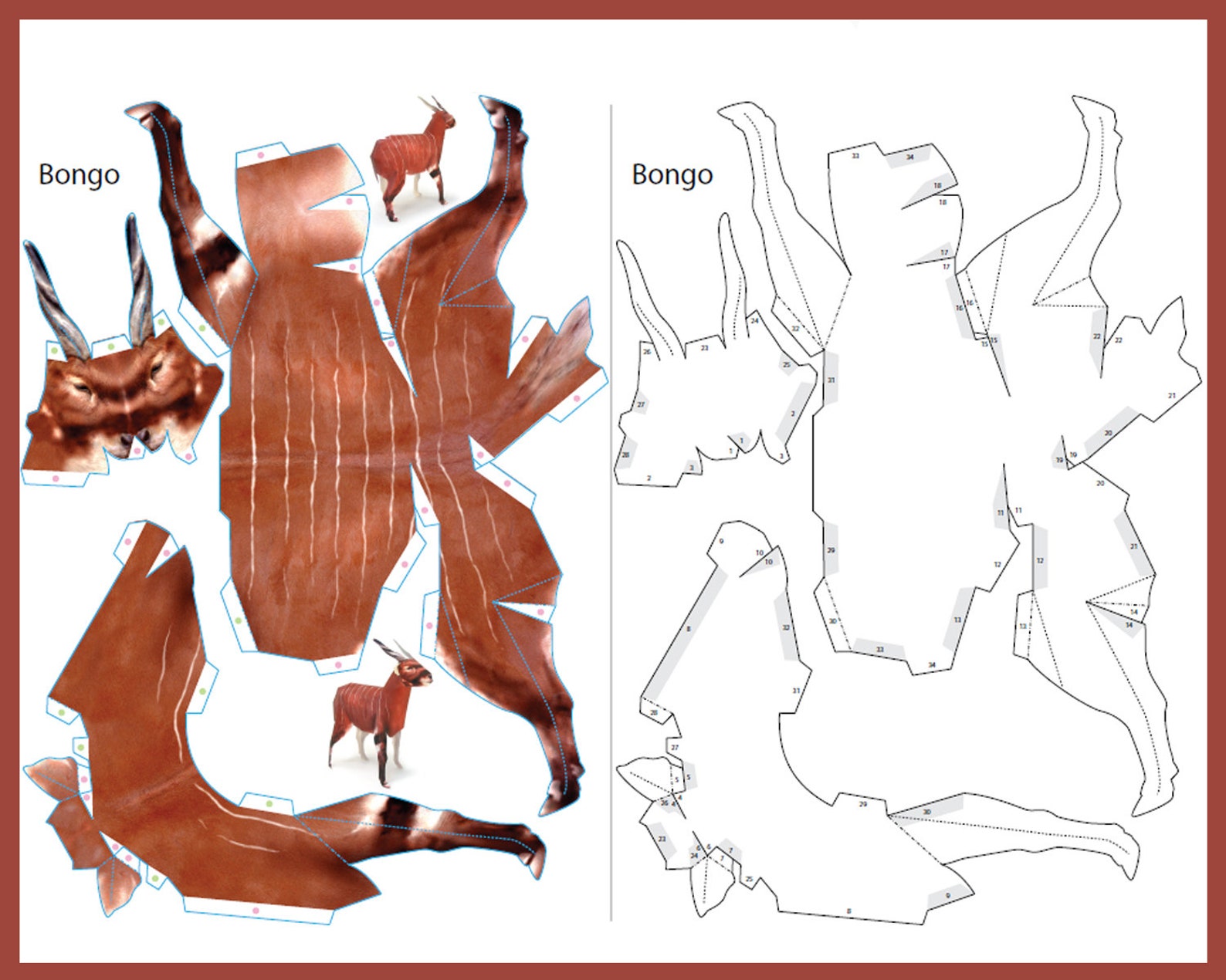 BONGO 3D Papercraft / 3D PDF Template / Papercraft Animals / DIY Paper ...