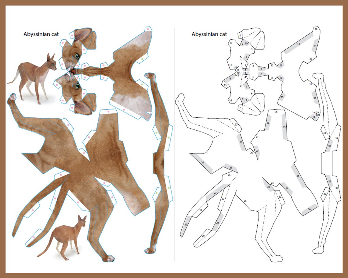 ABYSSINIAN CAT 3D Papercraft / Hose Cat Papercraft / Kitty - Etsy