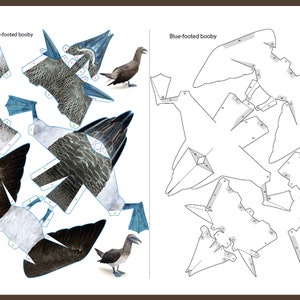 BLUE-FOOTED BOOBY 3D Papercraft / 3D Papercraft Bird / 3d Origami ...
