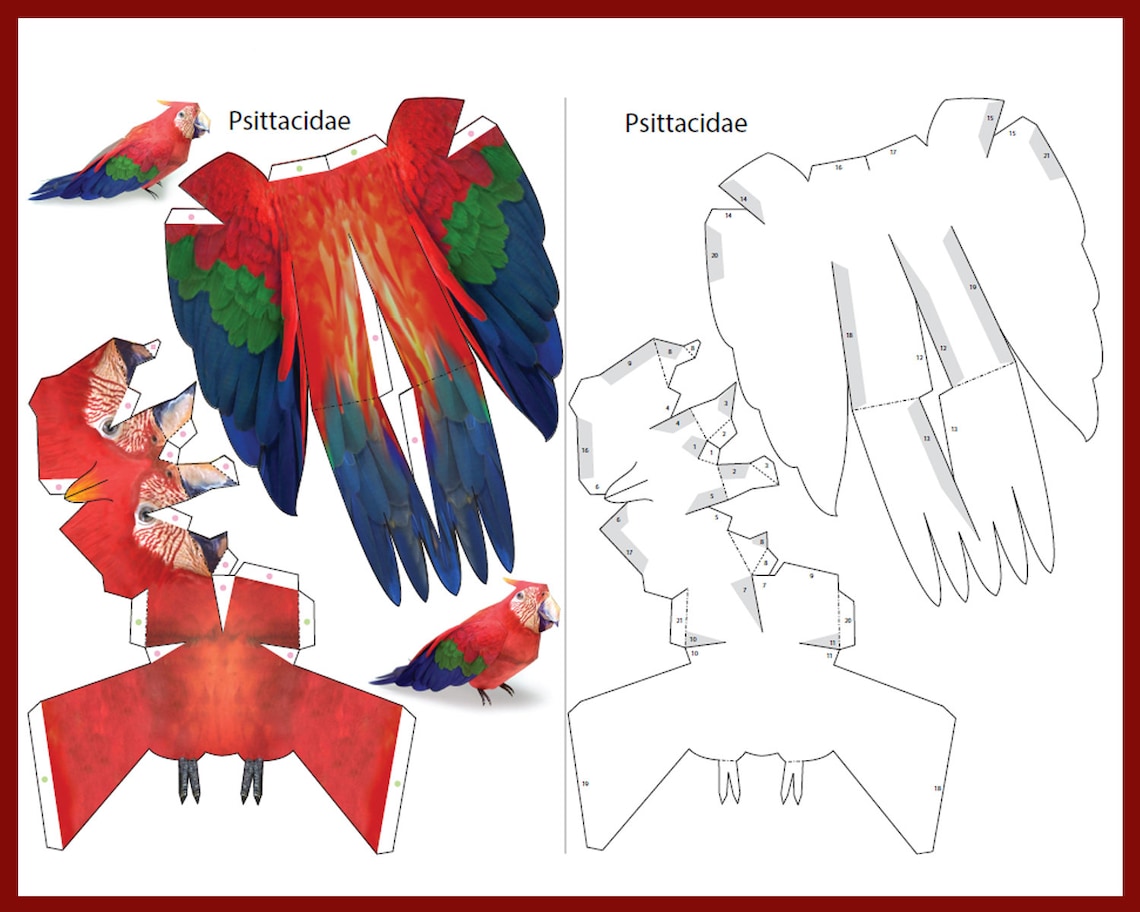 PSITTACIDAE 3D Papercraft / 3d Origami / Papercraft Animals / Parrot 3d ...