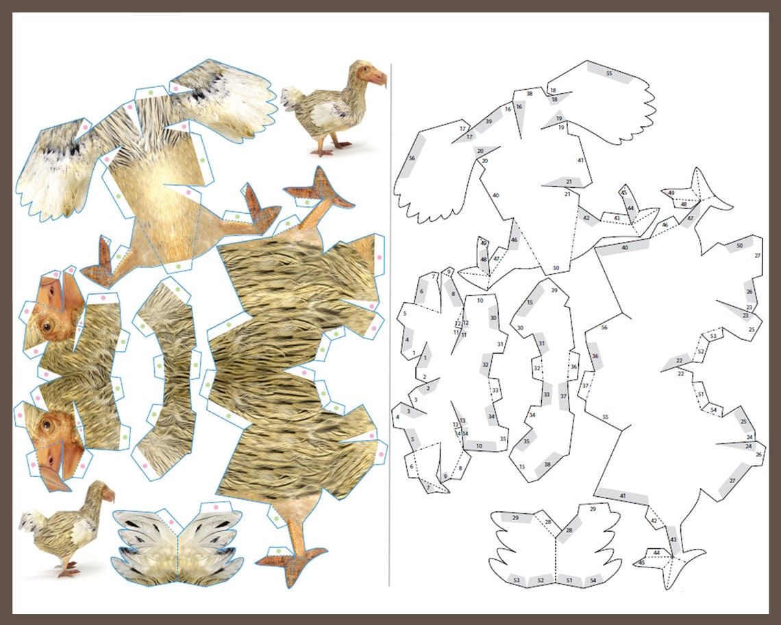 DODO 3D Papercraft / DODO BIRDS Pepakura Pdf Template Low Polygonal ...