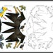 SOUTHERN CASSOWARY 3D Papercraft / Southern Cassowary DIY / 3D ...