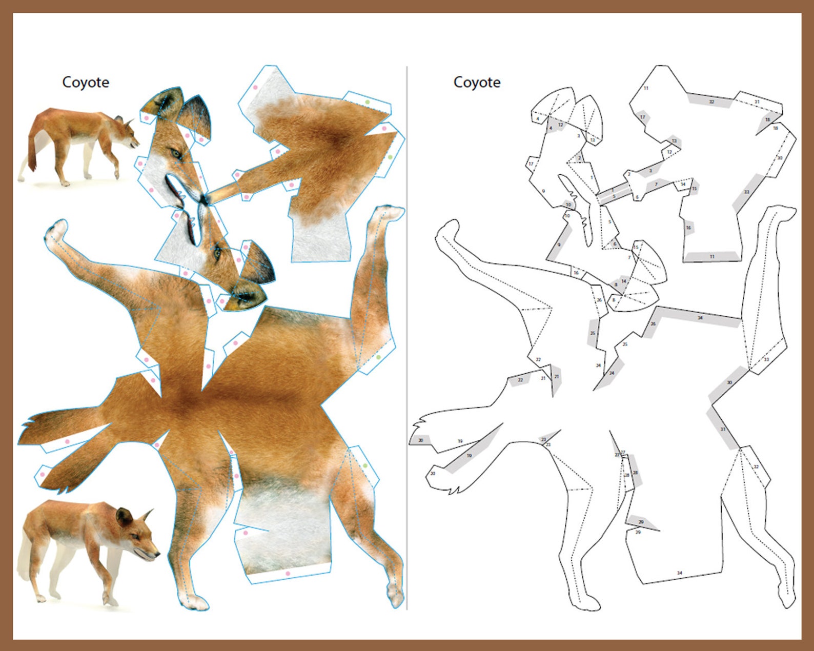 Buy COYOTE 3D Papercraft / DIY Pdf Templates / Paper Craft Coyote / Diy ...