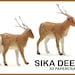 SIKA DEER 3D Papercraft / Deer Cardboard Model / Papercraft Model ...