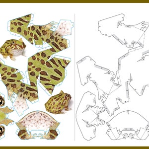 HORNED FROG / 3D Papercraft / Frog Paper Sculpture / Frog Statue / Frog ...
