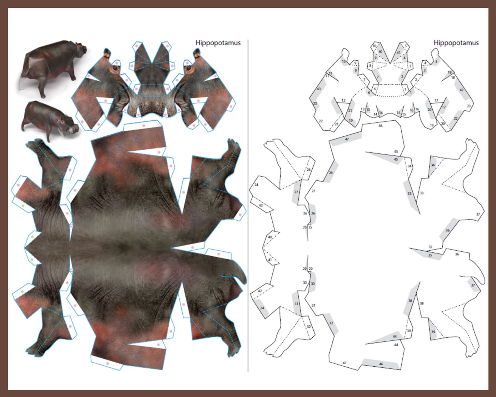 HIPPOPOTAMUS 3D Papercraft / Hippo Pepercraft / Papercraft Trophy / Pdf ...