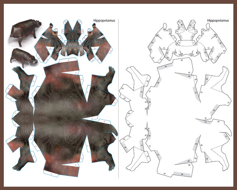 HIPPOPOTAMUS 3D Papercraft / Hippo Pepercraft / Papercraft Trophy / Pdf ...
