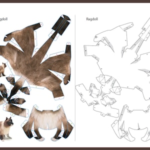 RAGDOLL 3D Papercraft / Ragdoll Cat Paper Craft / Kitten 3d Papercraft ...