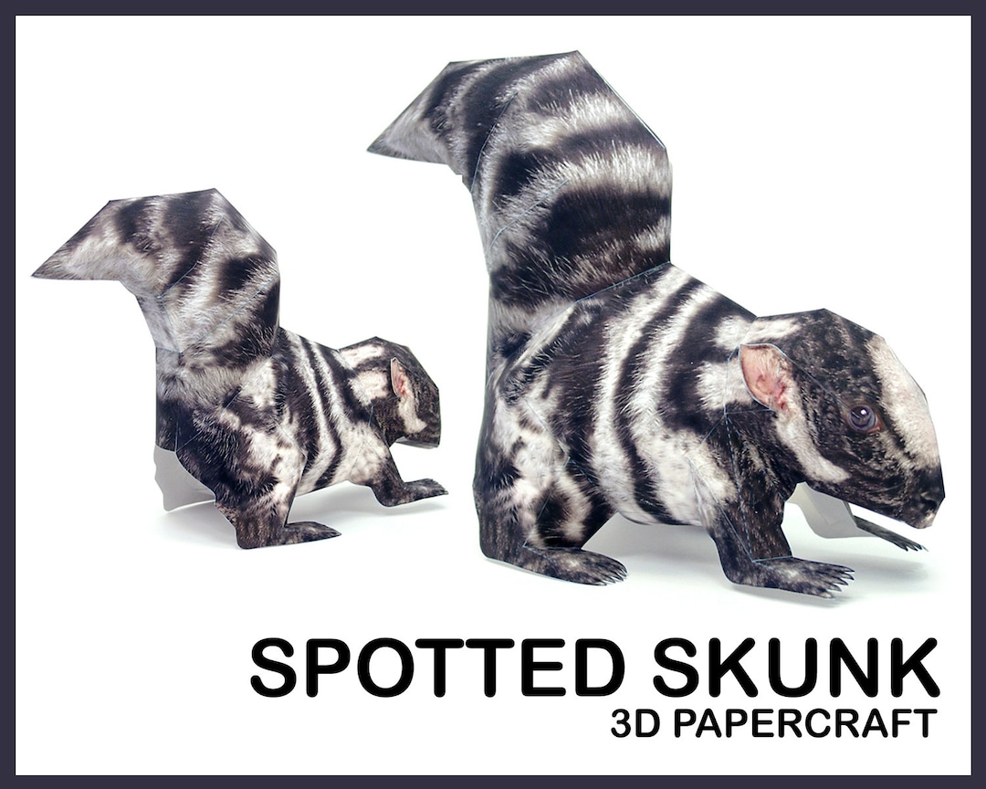 SPOTTED SKUNK 3D Papercraft / Paper Model / Skunk Animal Papercrafting ...