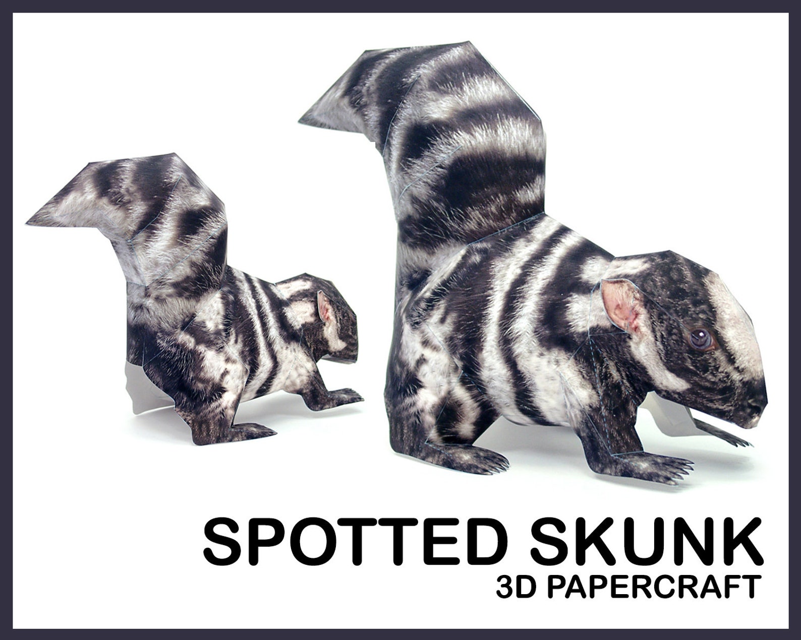 SPOTTED SKUNK 3D Papercraft / Paper Model / Skunk Animal Papercrafting ...