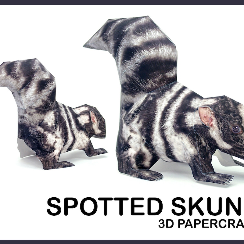 Skunk Paper Doll - Etsy