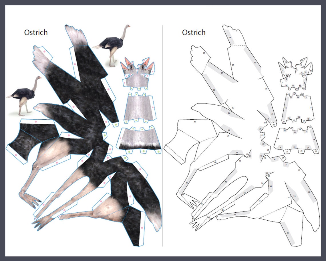 OSTRICH 3D Papercraft / Ratite Bird 3D Papercraft / 3d Origami ...