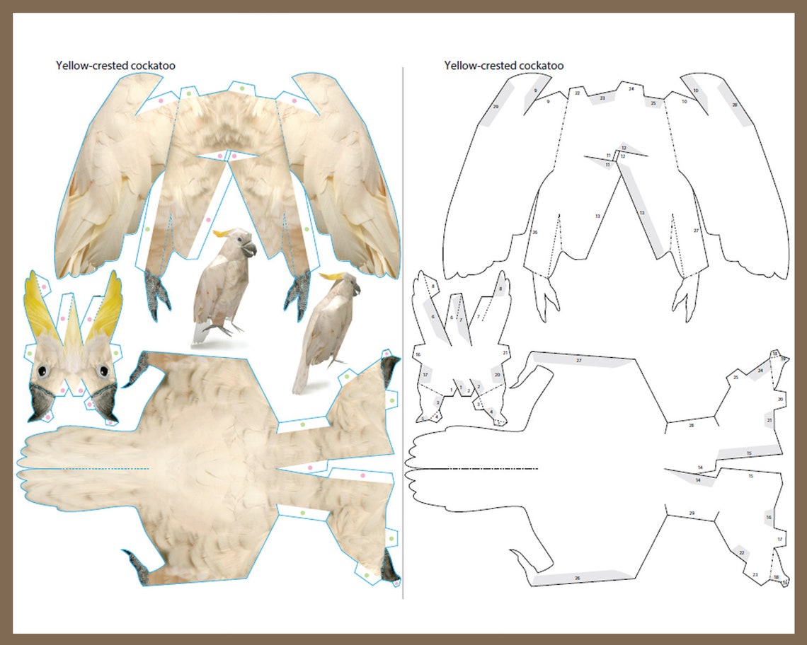 COCKATOO 3D Papercraft / 3d Origami / Papercraft Animals / Parrot 3d ...