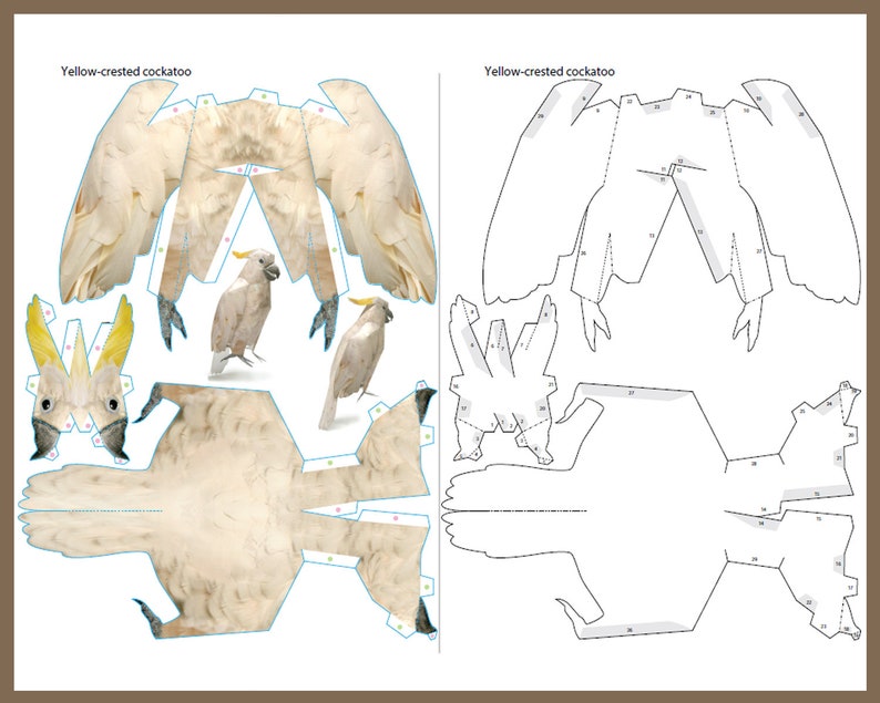 COCKATOO 3D Papercraft / 3d Origami / Papercraft Animals / Parrot 3d ...