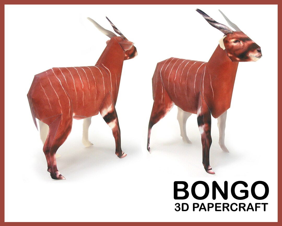 BONGO 3D Papercraft / 3D PDF Template / Papercraft Animals / DIY Paper ...