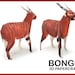 BONGO 3D Papercraft / 3D PDF Template / Papercraft Animals / DIY Paper ...