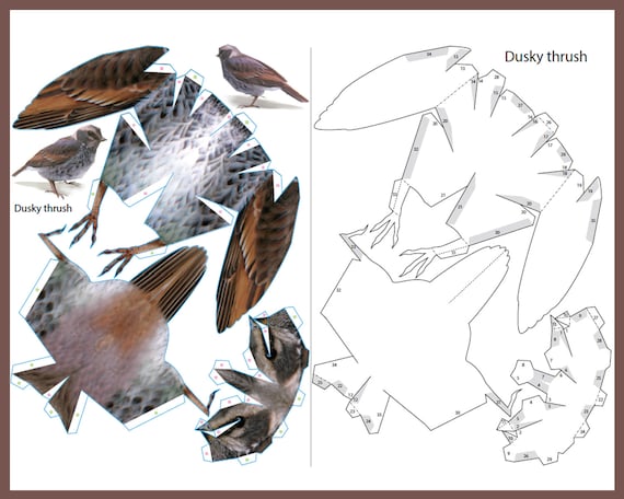 3d Paper Printable Bird Templates 3D Bird Cages Decorative Cut Files