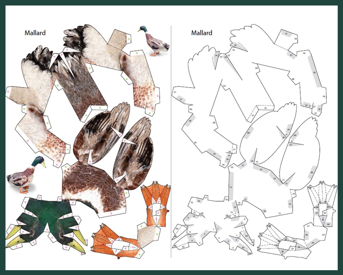 MALLARD 3D Papercraft / Animals Papercraft 3D / 3d Origami Wild Duck ...