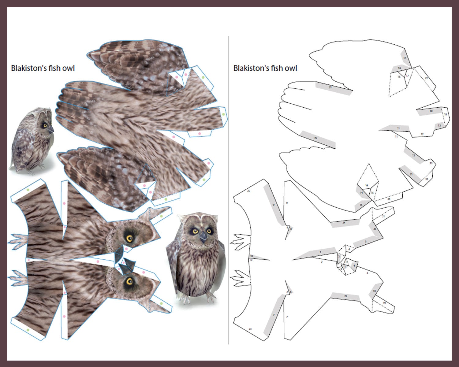 BLAKISTONS FISH OWL 3D Papercraft / Owl Sculpture / Owl Print / Owl ...