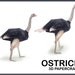 OSTRICH 3D Papercraft / Ratite Bird 3D Papercraft / 3d Origami ...
