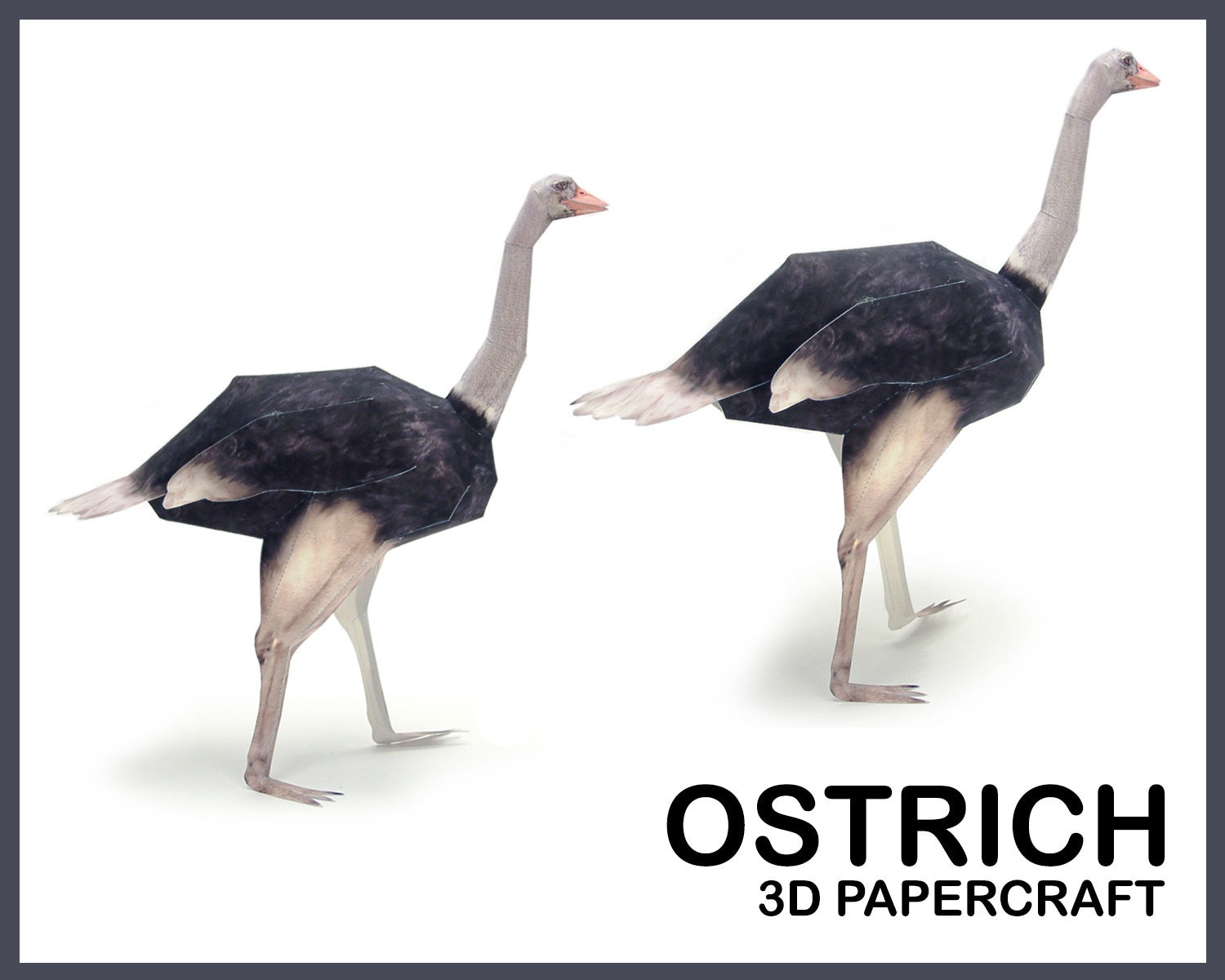 OSTRICH 3D Papercraft / Ratite Bird 3D Papercraft / 3d Origami ...